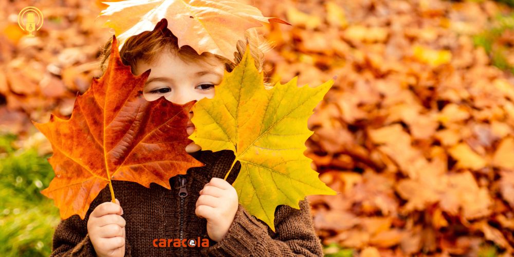 Podcast para niños: ¿Por qué los árboles se quedan sin hojas en otoño ...